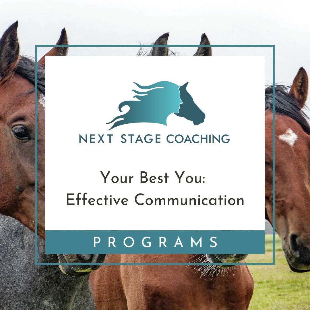 Introduction Programs: Effective Communication - Next Stage Coaching