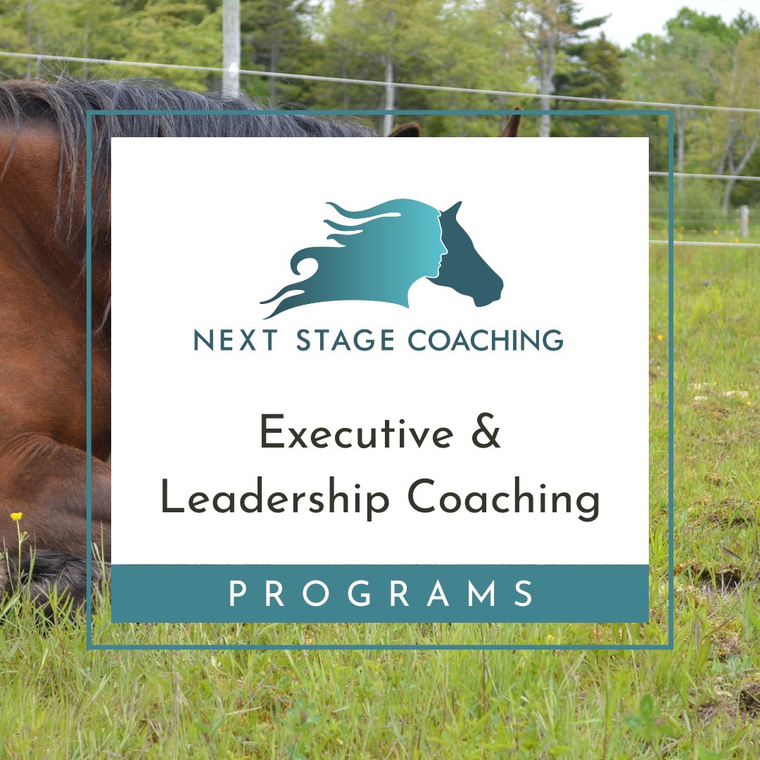 Executive & Leadership Coaching - Next Stage Coaching