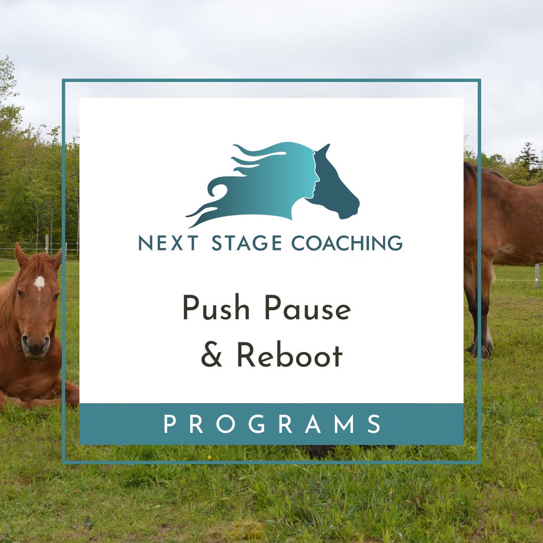 Push Pause & Reboot - Next Stage Coaching