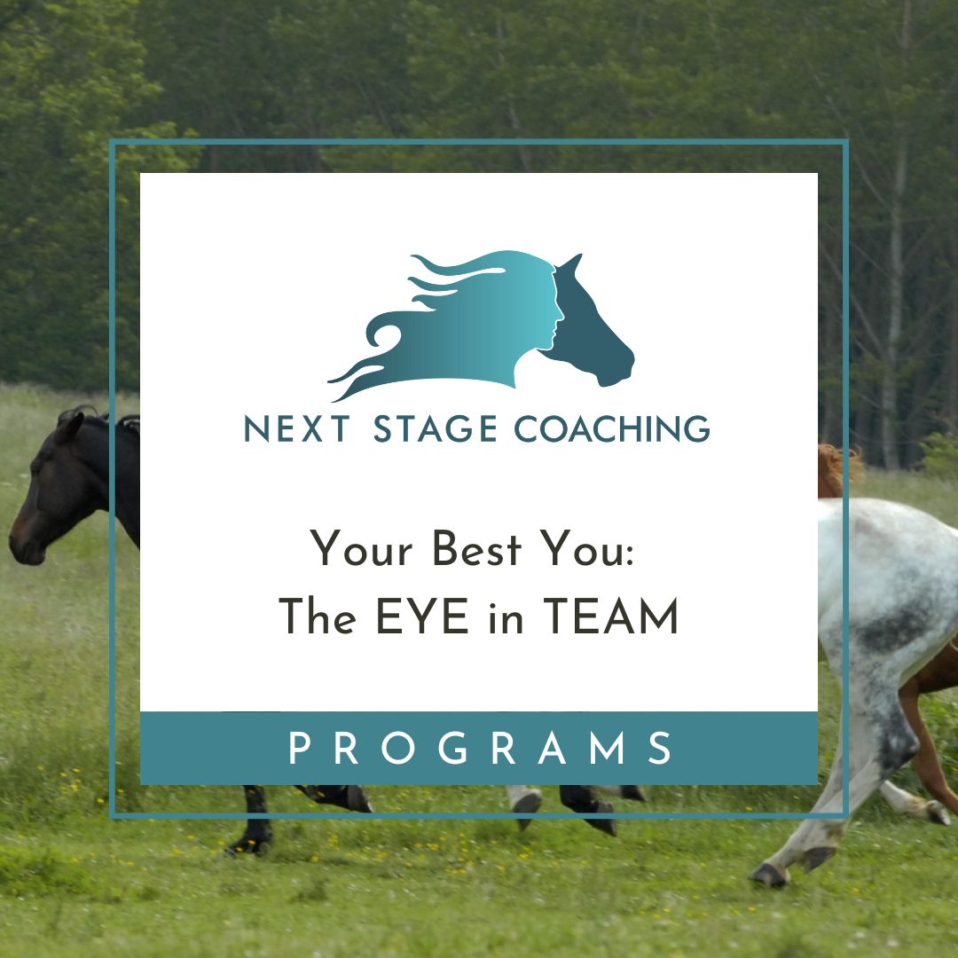 Introduction Programs: The EYE in TEAM - Next Stage Coaching